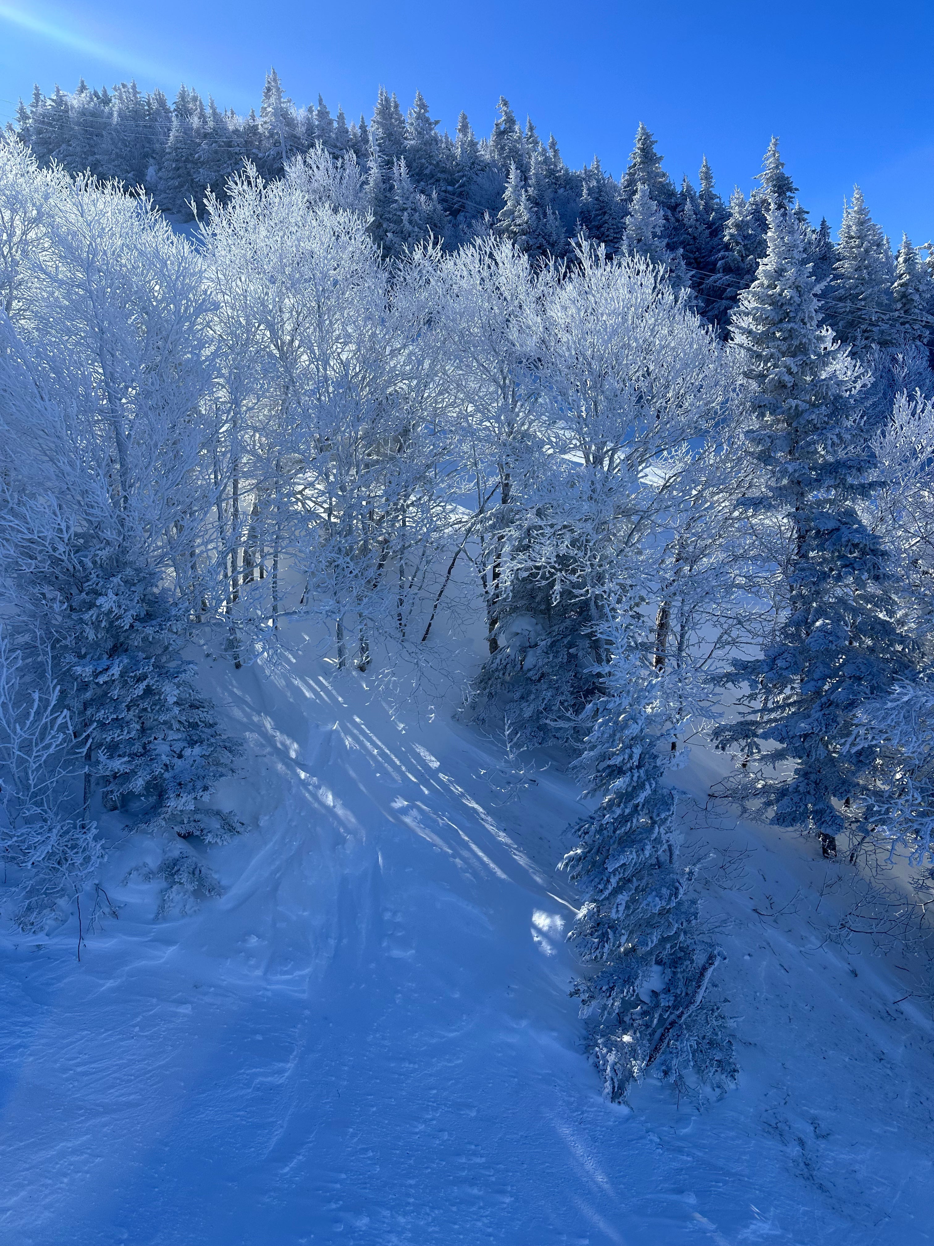 Winter's Healing Adventures – Arctic Lynx Maternity